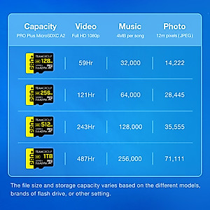 TEAMGROUP A2 Pro Plus Card 1TB Micro SDXC UHS-I U3 A2 V30, R/W up to 160/110 MB/s for Nintendo-Switch, Steam Deck, Gaming Devices, Tablets, Smartphones, 4K Shooting, with Adapter TPPMSDX1TIA2V3003