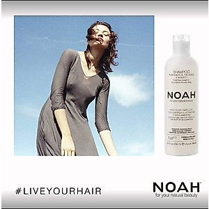 Noah Hair - 1.5 Purifying Shampoo with Green Tea and Basil - Organic Shampoo - With Green Tea Extract and Essential Oils– Natural Shampoo - Dandruff Shampoo - Hair Care for Natural Beauty - 8.5 fl.oz