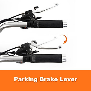 DWMEIGI 3 Wheel Electric Bike for Adult with 750W Motor, 48V 18.2AH Removable Lithium Battery, 20"*4.0 Fat Tire Tricycles for Men Women with Front & Rear Baskets, 7 Speed (Black)