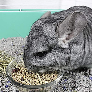 Sunseed 49130 Vita Prima Sunscription Chinchilla Food - High Fiber Timothy Formula, 3 LBS