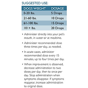 Nutrition Strength Digestive Care for Dogs, Natural Constipation Relief for Dogs and Puppies & Support for Diarrhea, Bloating, Bad Breath, Vomiting, Lack of Appetite, 60 Milliliters
