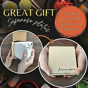 LOVE LOVE JAPAN Dessert Sushi Soy Sauce Salad Ceramic Plates Cats Design Set of 5 Made in Japan 5 Cats 4.7in