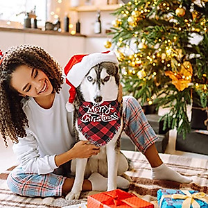 HonpraD D Ring Dog Collar Christmas Pet Scarf Triangle Bib Bandana Dog Burp Cat Towel Pet Clothing Accessories Decoration Tt15 Mini Collar