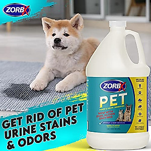 ZORBX Pet Stain and Odor Eliminator for Strong Odor - Dual Action Natural Enzymes Pet Odor Neutralizer & Stain Remover for Dog & Cat Urine | Carpet Cleaner Spray - 128 FL Oz (1 Gallon)