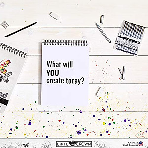 Brite Crown Drawing And Sketching Pens Set - 10 Black Fineliner Pens 0.2mm To 1.0mm Width Tips & 2.5mm Micro Calligraphy Brush-tip Pen, Ideal Gift Idea For Artists And Beginners