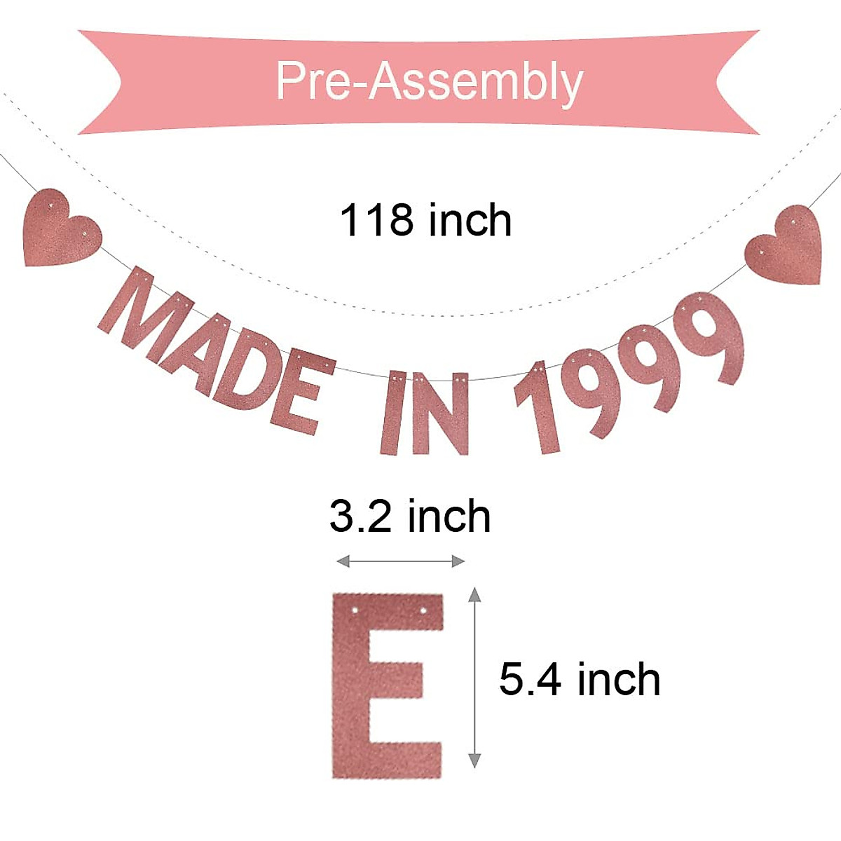 XIAOLUOLY Rose Gold Glitter Banner,Pre-Strung,Funny 24th Birthday Party Decorations Bunting Sign Backdrops,Made In 1999