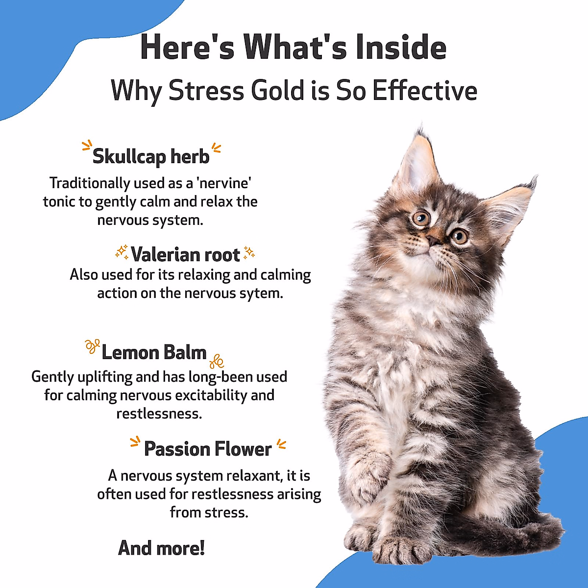 Pet Wellbeing Stress Gold for Cats - Occasional High Stress and Restlessness, Supports Relaxation, Travel, Vet Trips, Skullcap, Valerian - Veterinarian-Formulated Herbal Supplement 2 oz (59 ml)