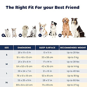 Miguel Dog Bed with Removable Cushion/Pillow for Medium Small Dogs, Washable Pet Bed with Side Easy to Wash Puppy Bed, Large Rectangle Cat Bed for Indoor Cat with Anti-Slip Bottom, Blue 25 Inch