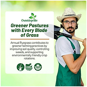 Outsidepride 25 lb. Annual Ryegrass Hay, Forage, & Pasture Seed
