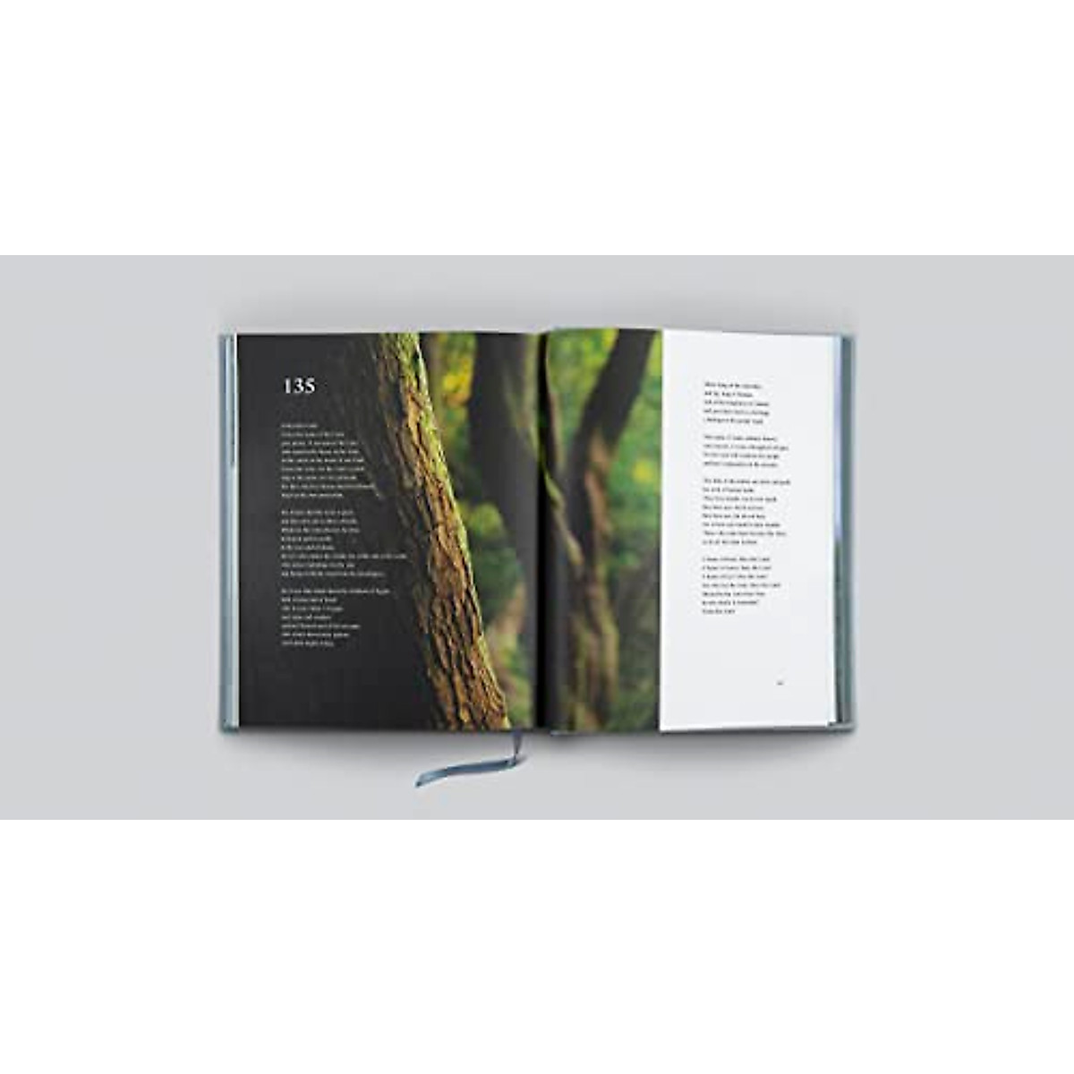 ESV Psalms, Photography Edition (Hardcover)