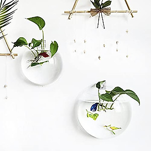 Noodoky Betta Fish Tank Bowl 11.8in, Wall Mounted Beta Fish Small Aquarium, Hanging Plastic Wall Decor for Plant Fish Ecosphere(1 Gallon)