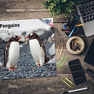 2023 2024 Penguin Calendar - Cute Wildlife Sealife Monthly Wall Calendar - 12 x 24 Open - Thick No-Bleed Paper - Giftable - Academic Teacher's Planner Calendar Organizing & Planning