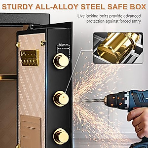 2.5 Cubic Large Fireproof Safe Box with Waterproof Fireproof Document Bag, Anti-Theft Home Safe with Combination Lock, Security Safe for Money Ammunition Medicines