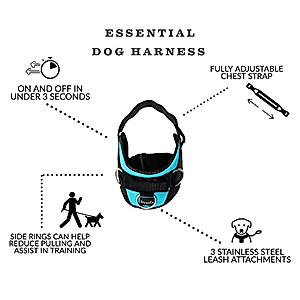 ShawnCo Essential Dog Harness, No-Pull Pet Vest with 3 Leash Clips, No Choke, Reflective, Adjustable and Padded, for Easy Walking and Training for Small, Medium and Large Dogs (Oceanic Blue, Medium)