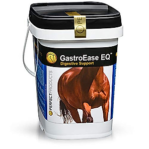 Perfect Company GastroEase 5 Pound