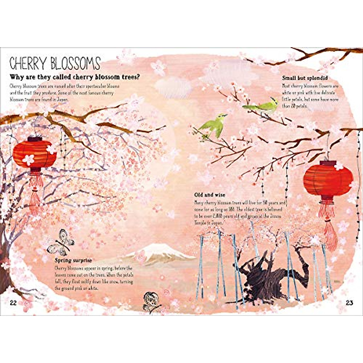 The Big Book of Blooms (The Big Book Series)