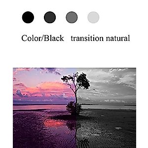 MM MUCH & MORE Compatible Ink Cartridge Replacement for Brother LC-3013 LC3013 Used with MFC-J487DW MFC-J491DW MFC-J497DW MFC-J690DW MFC-J895DW Printers (4 Black)