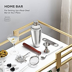 10-Piece Cocktail Shaker Set With Travel Bag - Stainless Steel Cocktail Shaker Set Bartender Kit - Mixology Bartender Kit - Strainer, Muddler, Jigger, Bar Spoon, Bottle Opener, Pour Spouts - Bar Set