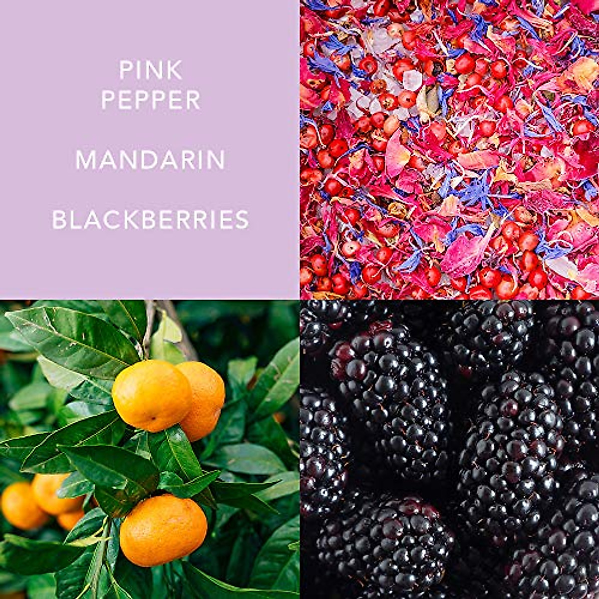 A∙SCENT Sensuous Praline Eau de Parfum | Spray Perfume for Women, 1.7 fl oz / 50mL