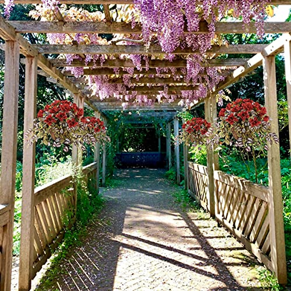 Homsunny Artificial Hanging Flowers in Basket Outdoor Indoor Patio Lawn Garden Decor, Hanging Daisy Basket with 12inch Coconut Lining Chain Flowerpot (Dark Purple)