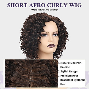 XIUFAXIRUSI XIUFAXIRUSI Short Curly Afro Wigs for Black Women Mixed Brown Kinky Curly Bob Wig with Side Bangs African American Synthetic Full Hair Wig