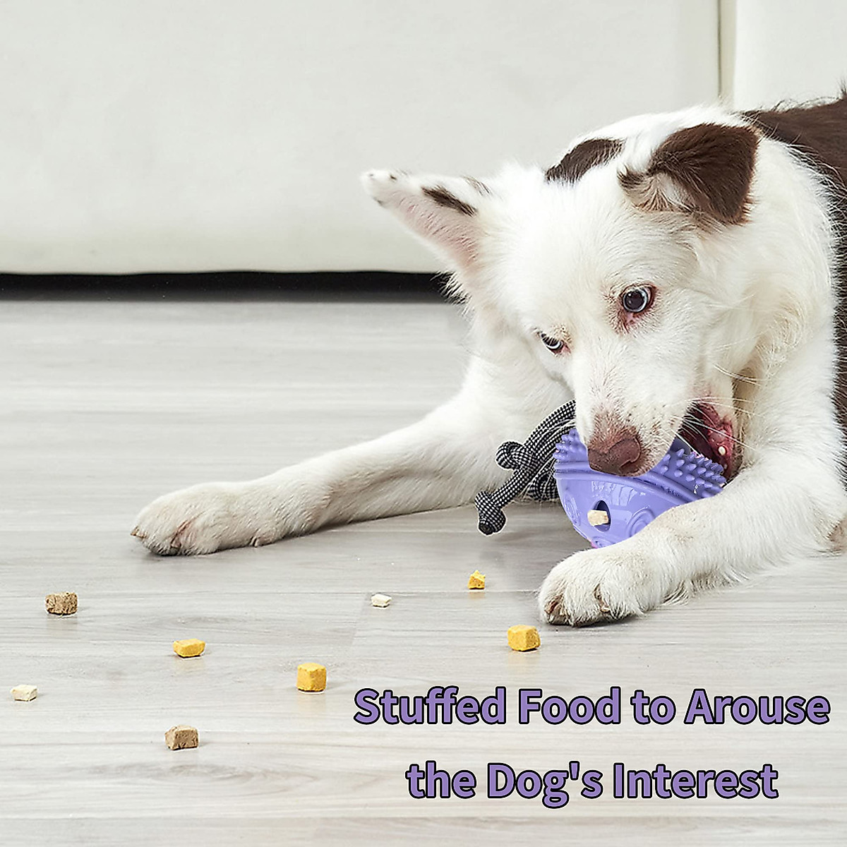 3-in-1 Dog Toy, Floating Dog Toy,Dog Water Toy for Pool & Beach, Dog Chew Teeth Cleaning Toy for Aggressive Chewers,Natural Jellyfish Leaky Food Toy for Large Medium Small Dog (2 Pack)