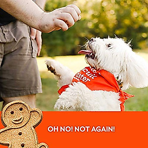 Buddy Biscuits Grain Free Soft & Chewy Dog Treats, Small Dog or Large Dogs Training with Peanut Butter 5 Oz