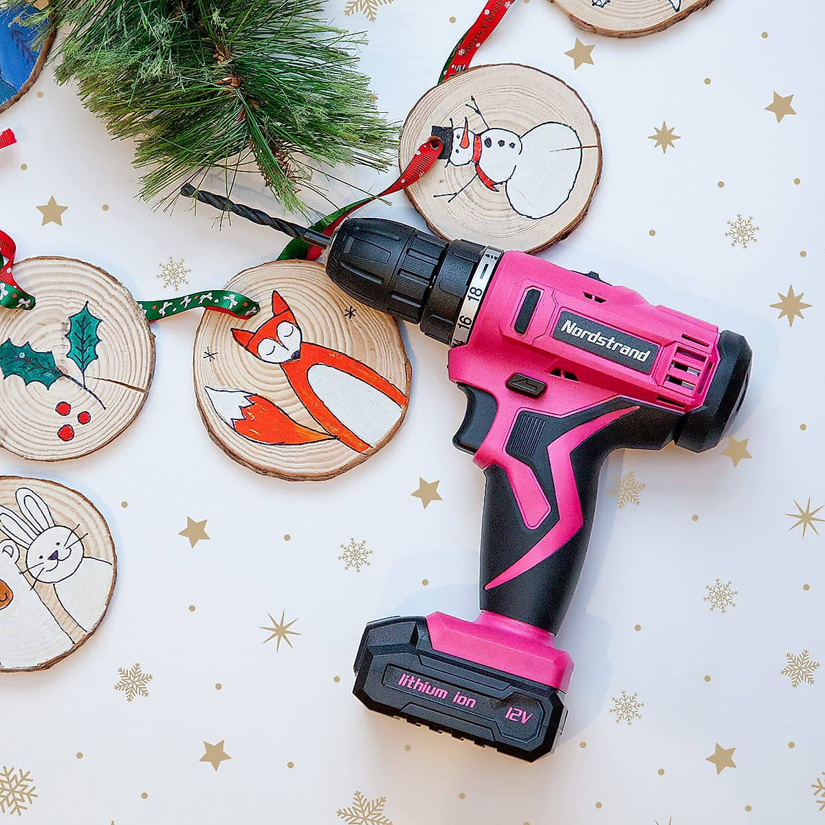 Pink Cordless Drill Set - Electric Screwdriver Cordless Drill Kit for Women - 12V Rechargeable Li-Ion Battery - Storage Case, Bits, Drills & Safety Glasses - Gift for Mom, Sister or Wife