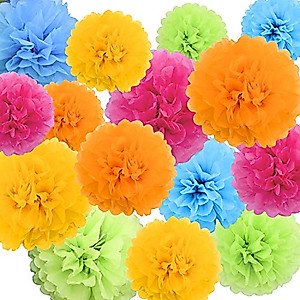 Livder Paper Flowers Bright Colorful Tissue Paper Pom Poms for Party Birthday Wedding Christmas Festive Decorations, 15 Pieces of 10, 12, 14 Inch