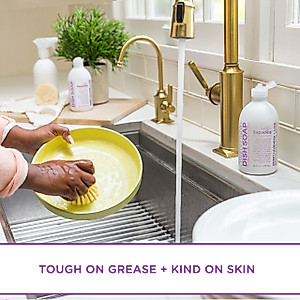 Sapadilla Liquid Dish Soap - Sweet Lavender + Lime - Made with 100% Pure Essential Oil Blends, Tough on Grease, Aromatic & Fragrant Dishwashing Liquid, Plant Based, Biodegradable, 12 Ounce (Pack of 1)