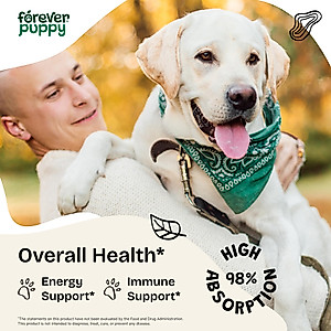 Irish Sea Moss Drops for Dogs - Thyroid & Energy Support for All Breeds & Sizes - Dog Food Supplements with Liquid Seamoss Extract - Natural Vitamins and Supplements for Thyroid Health - 4 oz