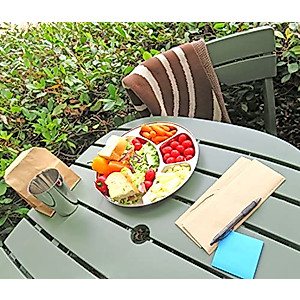 Lifestyle Block Stainless Steel Divided Plate: 4 Section Mirrored Round Plate for use as Plate or Platter