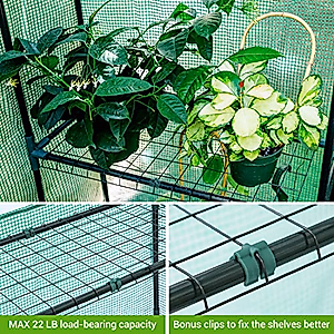 Greenhouse for Outdoors with Screen Windows, Ohuhu Walk in Plant Greenhouses Heavy Duty with Durable PE Cover, 3 Tiers 12 Shelves Stands 4.8x4.8x6.3 FT Plastic Portable Green House with Shelf Clips
