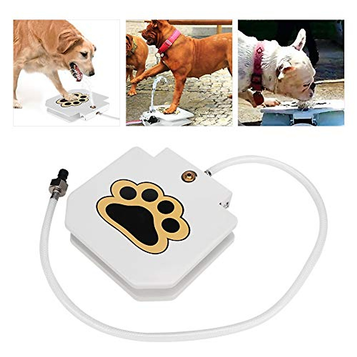 Dog Water Fountain Step On Toy,Easy Paw Petal Activated Dog Steps Eco-Friendly Pet Water Fountain Drinking Pet Dispenser Dog Water Sprinkler,Automatic Water Dog Fountain for Big/Small Dogs