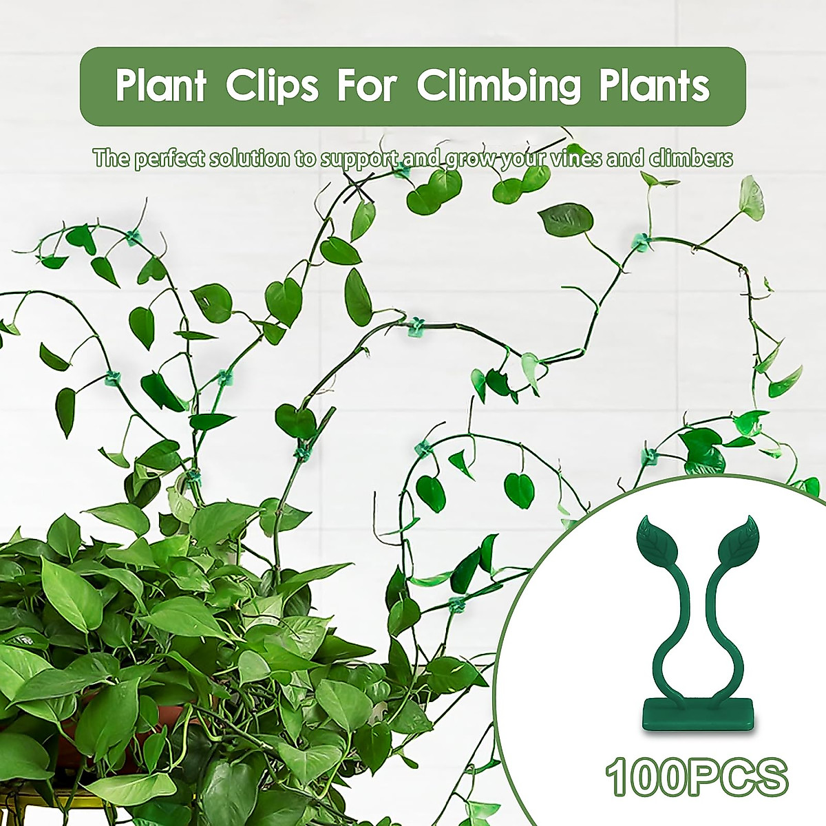 Revylink 100Pcs Plant Clips for Vines Wall Plant Clips for Climbing Plants Training Sticky Hooks Hanging Plants Climbing Wall Fixture Clips Plant Climber Vine Plant Support Green