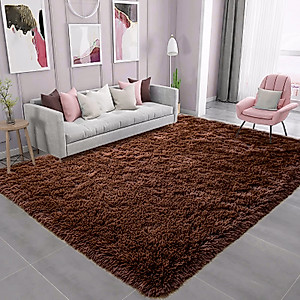 Ompaa Fluffy Area Rugs, Super Soft Shaggy Rug Fuzzy Long Fur Carpets for Bedroom Living Room Decor, 4 x 6 Feet Brown