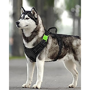 Joytale 2 Pack Airtag Dog Collar Holder, Elastic Silicone Air Tag Holder for Dogs and Cats, Light and Durable Apple Airtag Holder with Slide-On Loop(Black/Green)