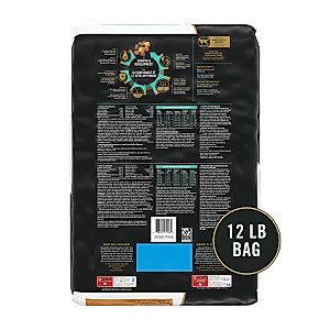 Purina Pro Plan With Probiotics, High Protein Dry Kitten Food, Shredded Blend Chicken & Rice Formula - 12 lb. Bag