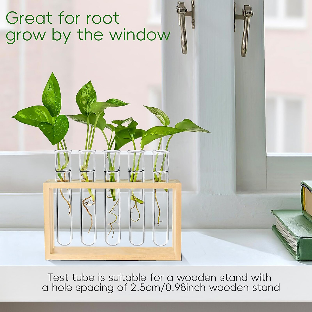 Worldity 15 Pcs Clear Test Tubes for Plant, 20 ml Plant Propagation Tube with Brush, Plastic Test Tubes for Hydroponic Plants, Flowers, Home Office Wall Decor (12 cm)