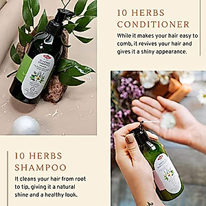 OTACI 10 Herbs Rejuvenate and Soften Conditioner for All Hair Types, Sage, Peppermint, Melissa, Rosemary, Myrtle, Storax, Thyme, Juniper, Lavender, Chamomile, No Paraben, No Alcohol Herbal Conditioner