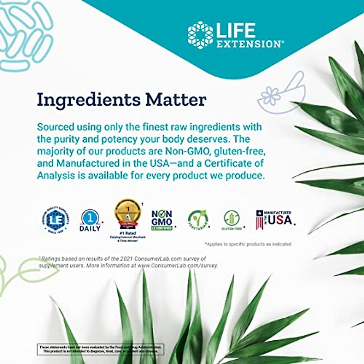 Life Extension Brain Fog Relief Caffeine-Free, Fast-Acting Nootropic Formula Helps Clear Your Mind – Gluten-Free, Non-GMO - 30 Softgels