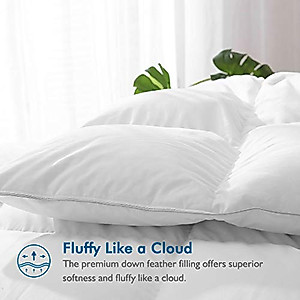 Dafinner Luxurious Queen Feathers Down Comforter - All Season Duvet Insert for Hotel Collection Bedding | Ultra-Soft Egyptian Cotton Fabric, Goose Feathers & Down Blend Filling(90x90, White)