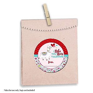 Like You Lots Llama-Themed Valentine Party Favor Sticker Labels, 40 2" Party Circle Stickers by AmandaCreation, Great for Classroom Valentines, Envelope Seals, Gifts & Treats
