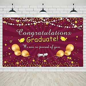 Graduation Party Decorations Maroon Gold 2023/Burgundy Balloons/Graduation Party Supplies Maroon Graduation Party FSU Graduation Backdrop/Class of 2023 Graduation Decorations Burgundy Gold