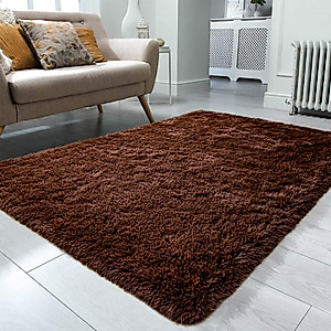 Ompaa Fluffy Area Rugs, Super Soft Shaggy Rug Fuzzy Long Fur Carpets for Bedroom Living Room Decor, 4 x 6 Feet Brown