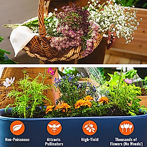 Variety Pack (23) of 64,000 Non GMO Wildflower Seeds for Bees, Hummingbird, Butterflies and Pollinators - with Growing Guide for Gardeners from Germination to Flowers - Bulk Seeds - by Open Seed Vault