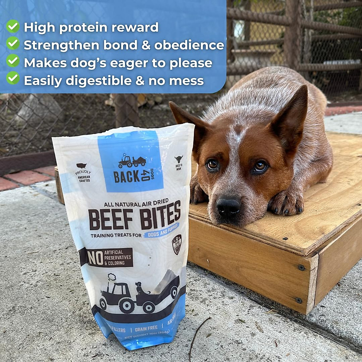 Back 40 Dogs Beef Bites - All Natural Premium Air Dried Dog Training Treats - Free Range Beef, Real Meat - High Protein Dog Food Toppers & Dog Treat - Puppy Essentials, Made in USA - 16oz