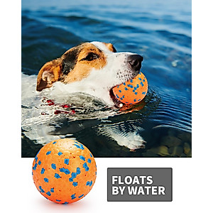 EVERDAZZ Tennis Ball Dog Toys for Aggressive Chewers: Teething Chew Toys - Water Toy Fetch Balls for Large Medium Small Dog and Puppy (2 Balls)