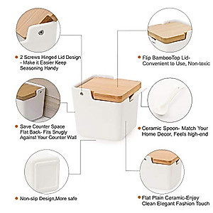 Lucky Goddness Set of 3 Porcelain Sugar Bowl, 8.8 fl oz Condiment Pots with Spoons Bamboo Flip Lids Labels, Spice Salt Tray Serving for Home Kitchen