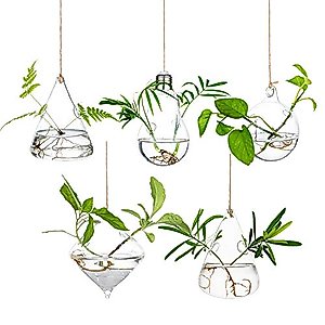 Hanging Glass Planter Plant Terrarium, 5Pcs Glasseam Propagation Stations for Plants Modern Propogation Station Wall Vase Planters Hydroponic Vases for Air Plant Flowers Indoor Window Home Decor